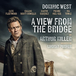 A View from The Bridge Tickets and Seat Reviews - Theatre Royal Haymarket