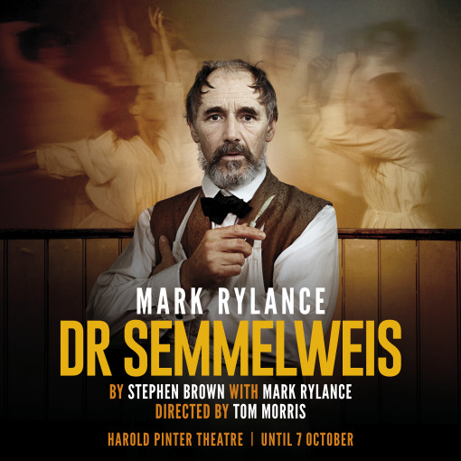 Dr Semmelweis Tickets and Seat Reviews - Harold Pinter Theatre